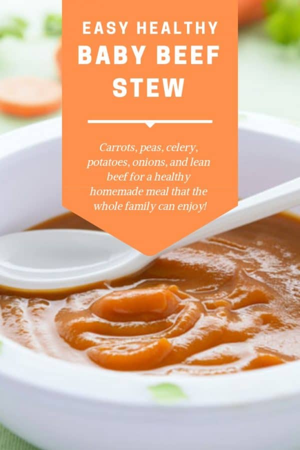 Baby Beef Stew - Healthy Food Recipe | Blender Babes